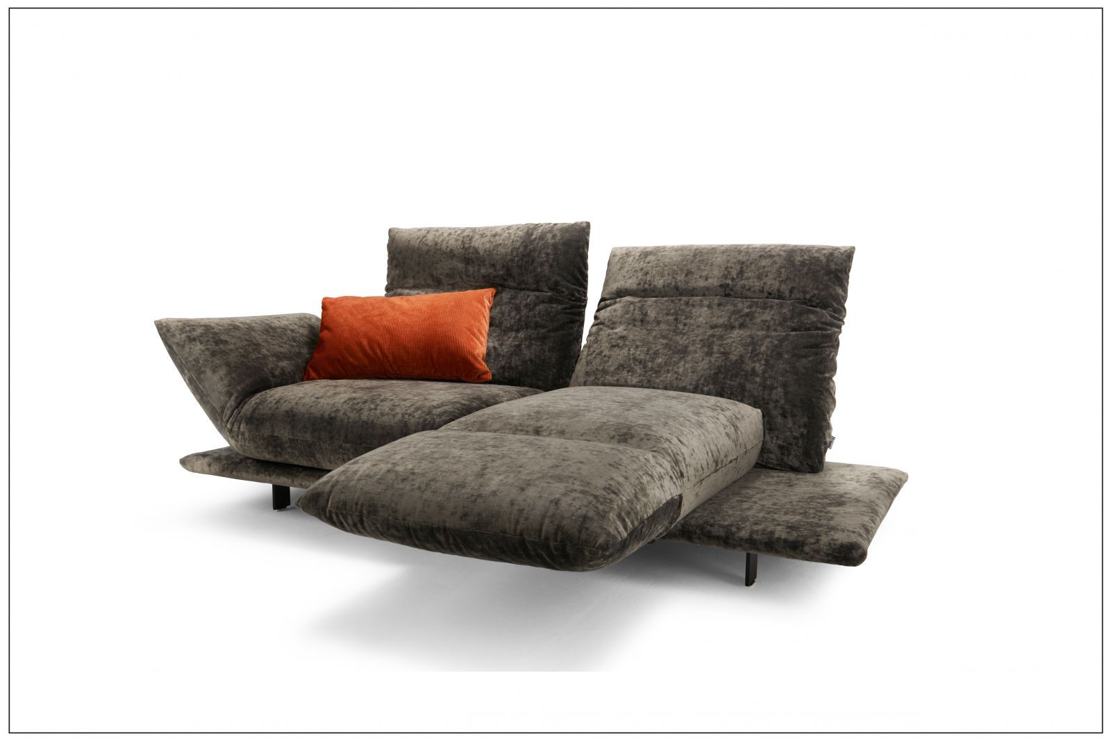 Bullfrog Design - PRO.BIER