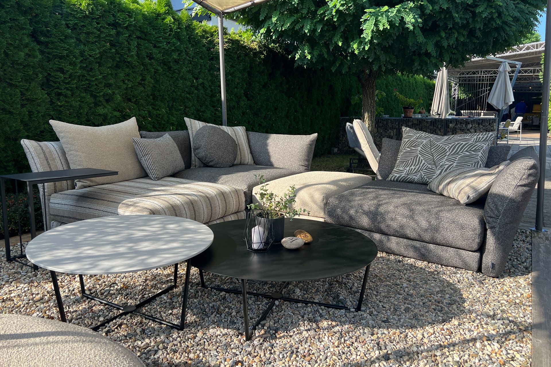 Bullfrog Design – Outlet